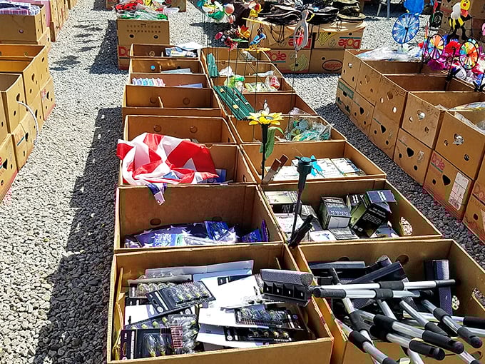 One person's junk is another's treasure trove. These display boxes are like archaeological digs for the modern bargain hunter.