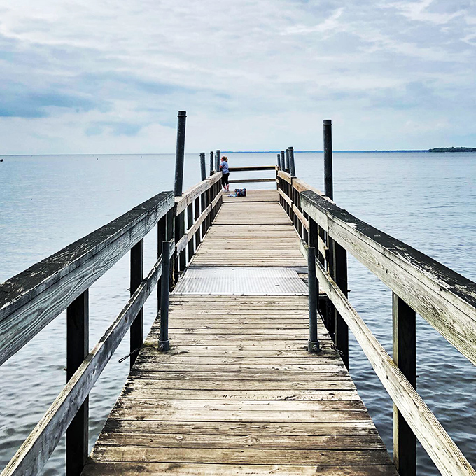Pontoon paradise! This dock isn't just for boats; it's a front-row seat to nature's own IMAX experience, minus the overpriced popcorn.