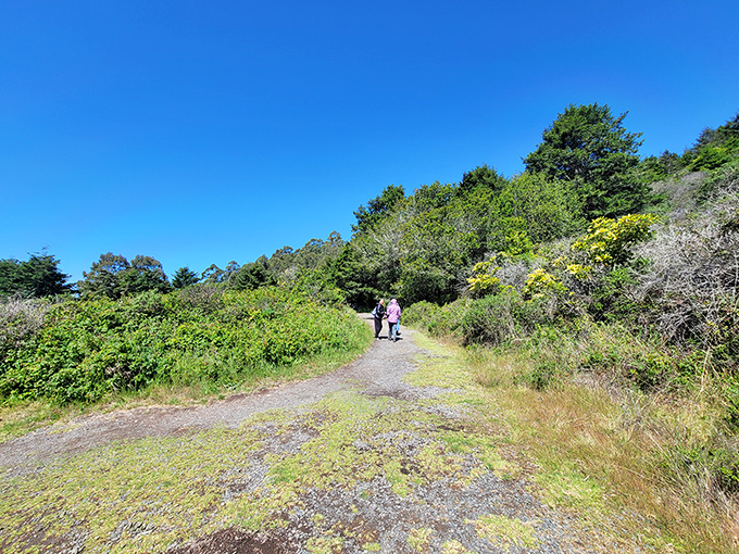 The path less traveled? Not today! But with views like this, who can blame the crowd for flocking to nature's own stairmaster?