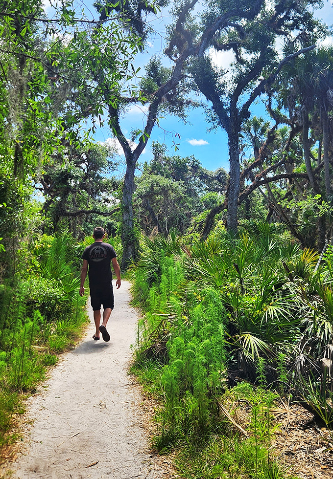 Taking a stroll through nature's art gallery. Each step is like turning the page of a living, breathing storybook.