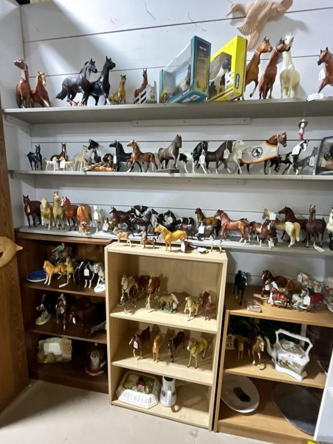 Giddy up, collectors! This herd of miniature horses is ready to gallop straight into your heart (and onto your shelves).