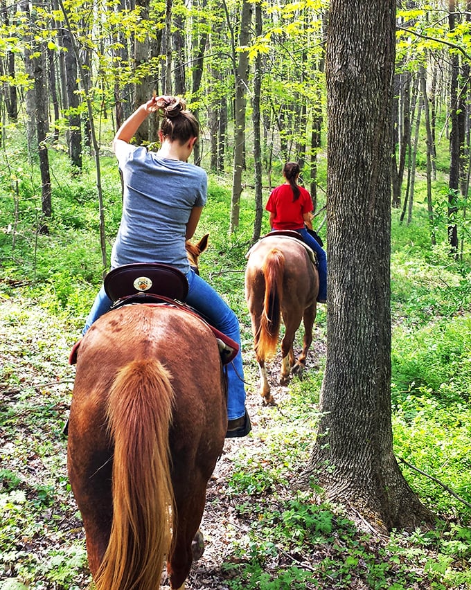 Giddy up and away! Explore Barkcamp's trails on horseback, where every trot and canter brings you closer to your inner cowboy (or cowgirl).