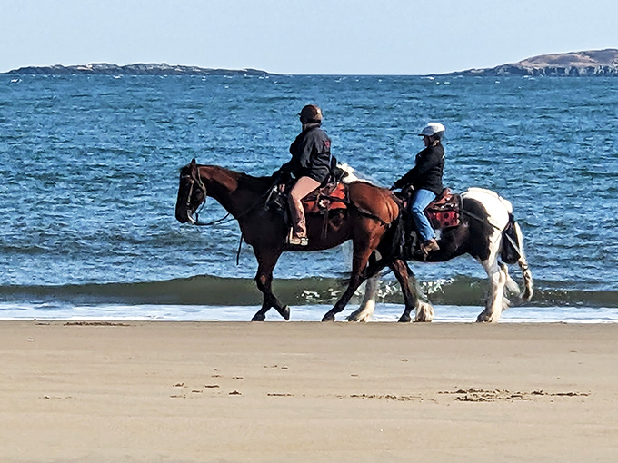 Giddy up and gallop! These beach-loving equestrians are living out everyone's "Horse Whisperer" fantasies. Talk about horsing around in style!