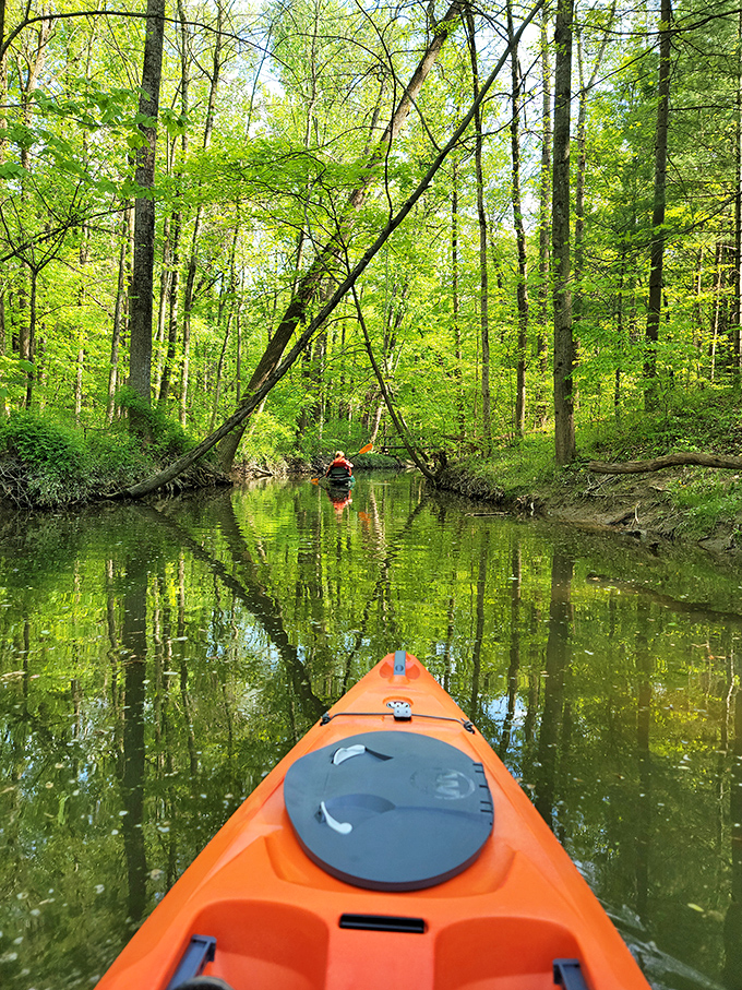 Who needs a yellow submarine when you've got an orange kayak? Paddle through Findley's serene waters and feel like the star of your own nature documentary.