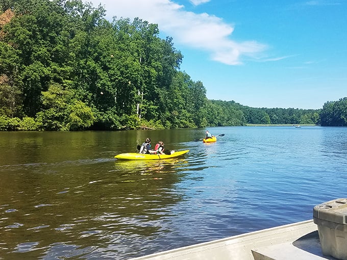 Row, row, row your kayak... gently down the dream. It's like paddling through a Bob Ross painting!