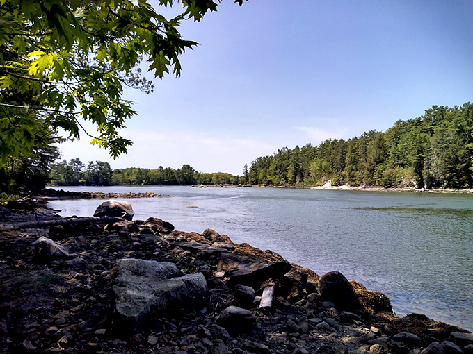 Mother Nature's screensaver in real life. This serene park view is better than any meditation app you'll find on your phone.