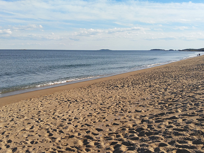 Where the forest meets the sea: A painter's palette of blues and greens, with a splash of sandy beige. Mother Nature's color theory at its finest.