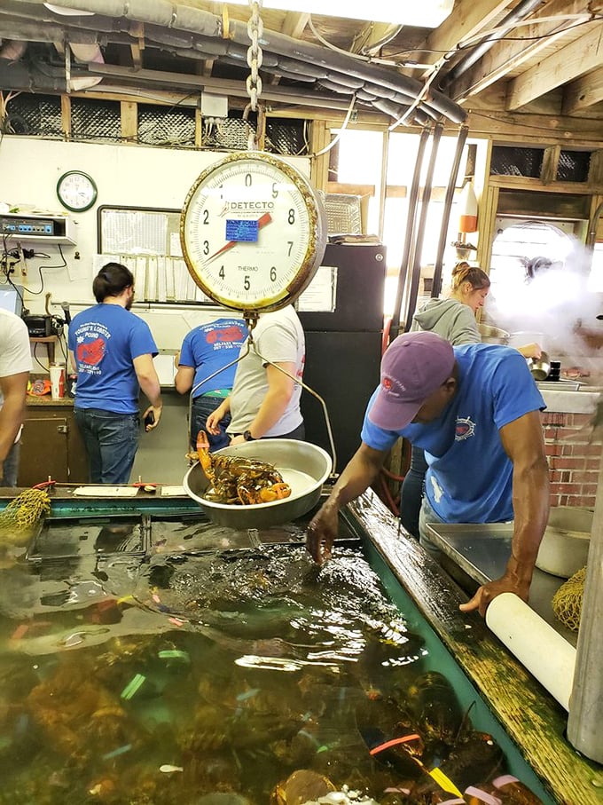 These seafood sorcerers work their magic, transforming tank-dwellers into plate-pleasers faster than you can say "Pass the butter!"