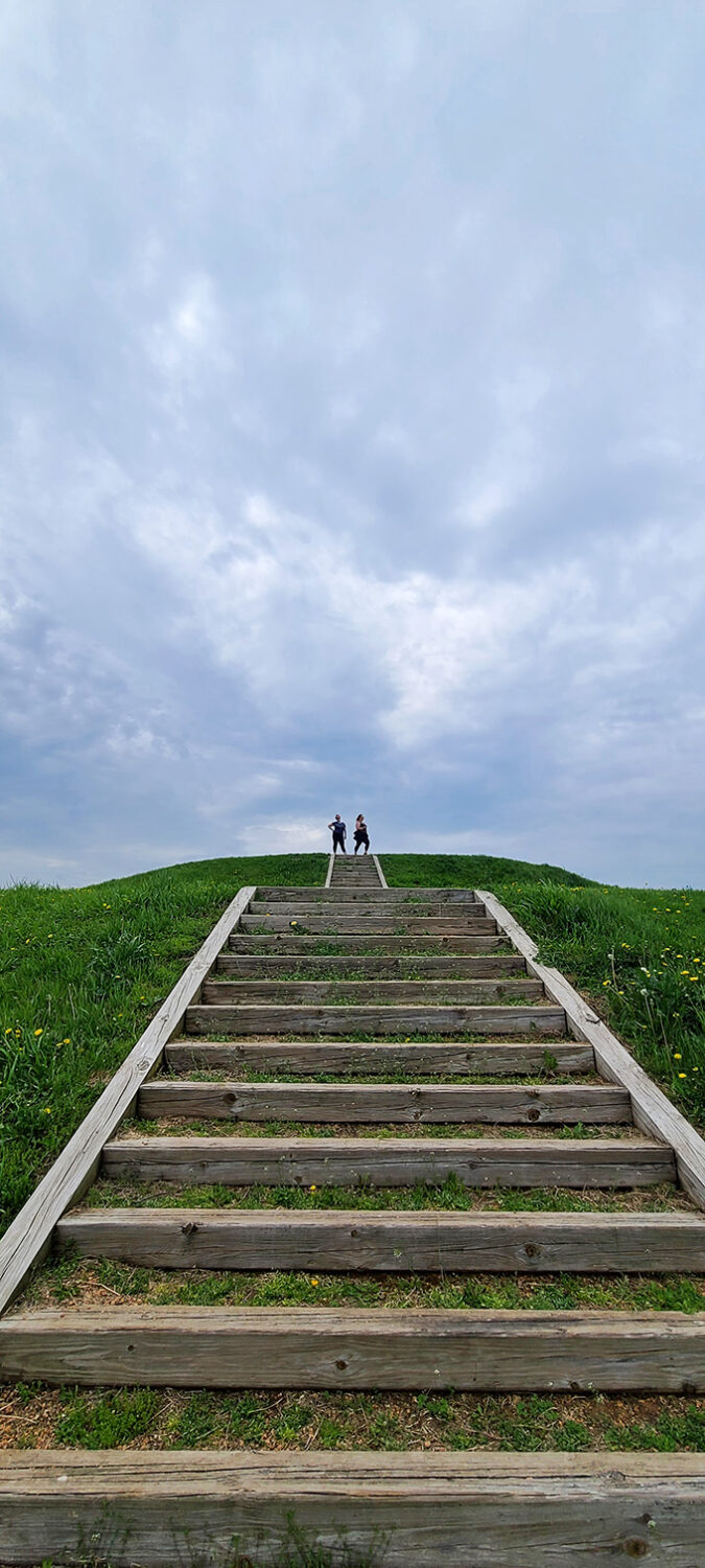 Stairway to the Stars... or at least to some pretty stellar views. These steps are like a Fitbit's dream come true!