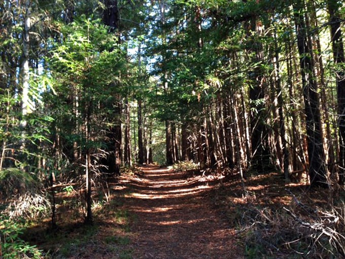 Follow the yellow brick road... er, dirt path to Oz. This trail promises adventure and maybe a few "I should've stretched" moments.
