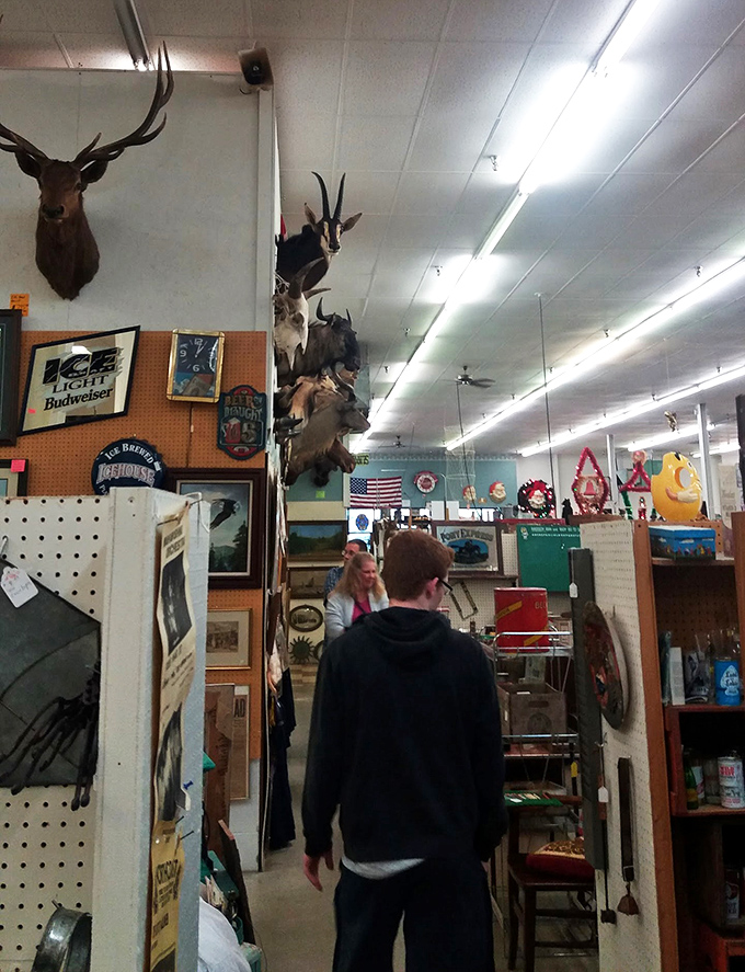 Hunters on the prowl, seeking that elusive prize. It's like 'Indiana Jones and the Raiders of the Lost Knick-Knack.