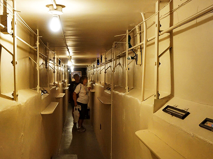 Peek into the past with these curious visitors. It's like window shopping through time, but without the risk of accidentally buying a corset.