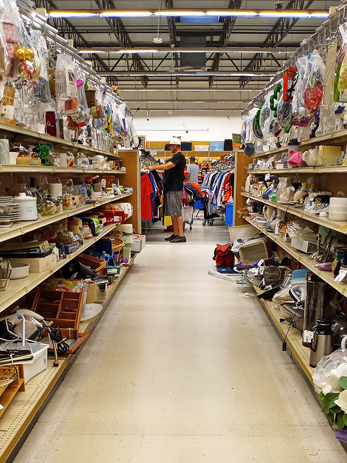 Thrift store explorers in their natural habitat. Watch as they navigate the aisles with the skill of seasoned adventurers.