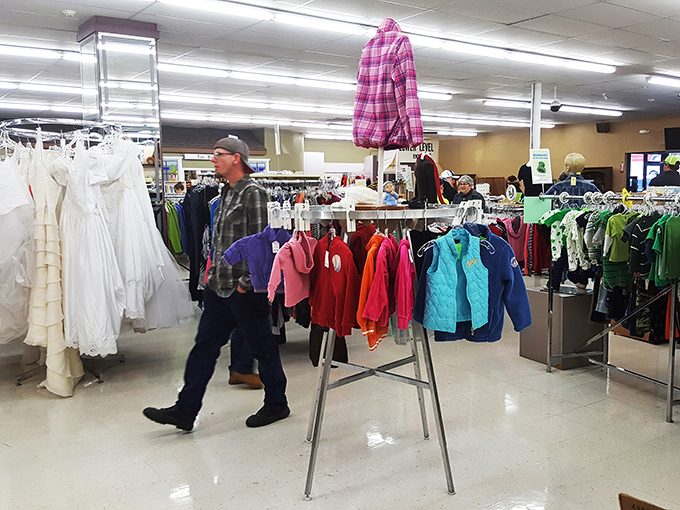 Thrift shop safari in full swing! Watch as intrepid shoppers navigate the aisles, their carts poised for the perfect catch.
