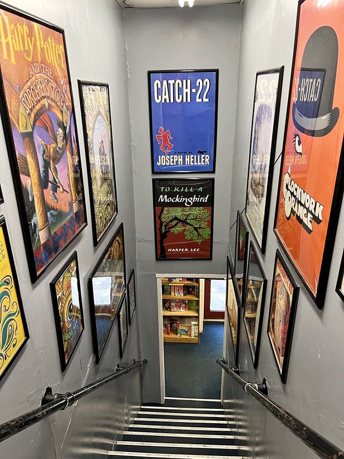 Stairway to literary heaven? This book-lined descent is like Alice's rabbit hole for the well-read crowd.