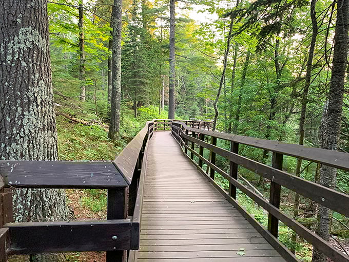 A walk in the woods never looked so good. This trail is like nature's red carpet, minus the paparazzi and uncomfortable shoes.
