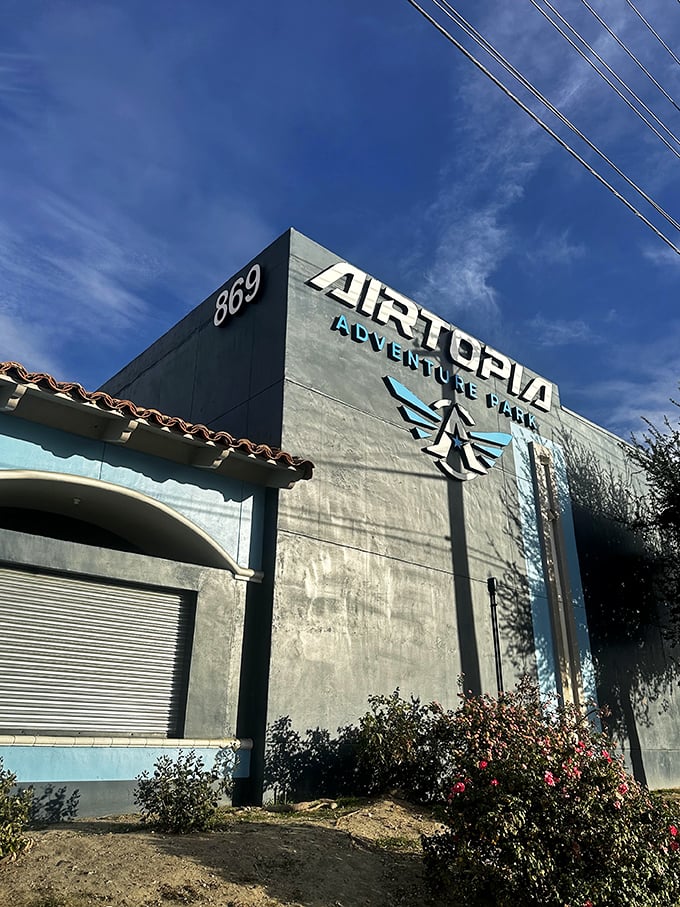 Airtopia: Where dreams of flight come true and gravity takes a back seat. Superman training ground or playground? You decide!