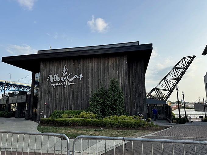 Alley Cat Oyster Bar: Where cool cats come to slurp in style. That modern wood exterior is sleeker than a seal in a tuxedo!