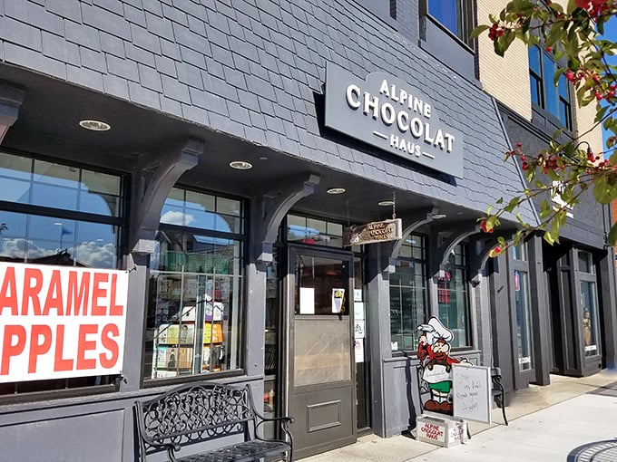 Alpine Chocolat Haus: Where chocolate goes to find itself. It's like a Swiss chalet for your taste buds, no passport required.