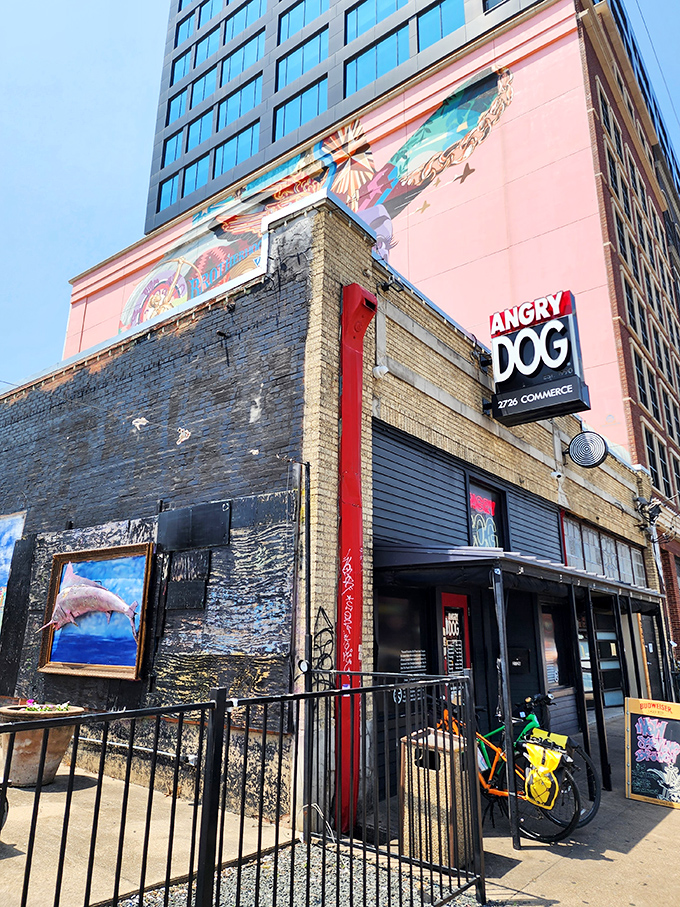 Angry Dog: Don't let the name fool you, these dogs are all bark and no bite. Unless you count the delicious kind of bite.