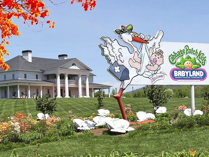 Welcome to Babyland General Hospital, where the stork's been replaced by cabbages. Cutest produce section you'll ever see!