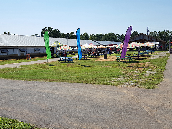 Big Creek Trade Days: Where 'window shopping' means peering into countless pop-up shops under the open sky.