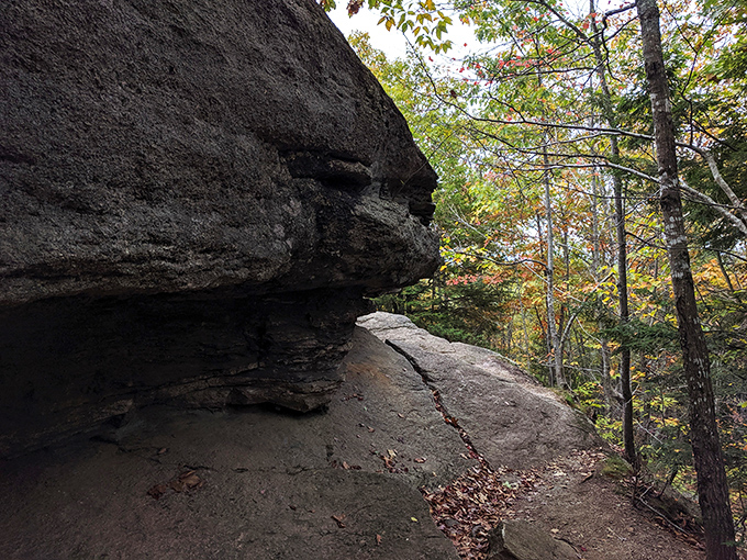 Bradbury Mountain's: where hikers are rewarded with a patchwork quilt of Maine's autumn glory.