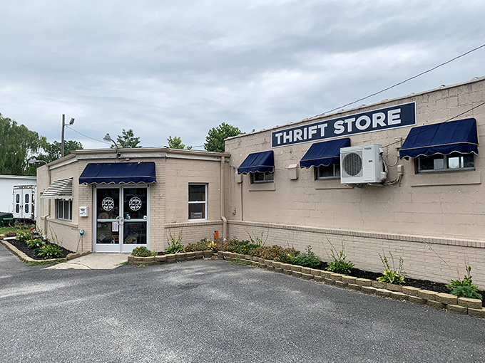 Bridging the Gap: Small on the outside, big on surprises inside. It's the TARDIS of thrift stores!