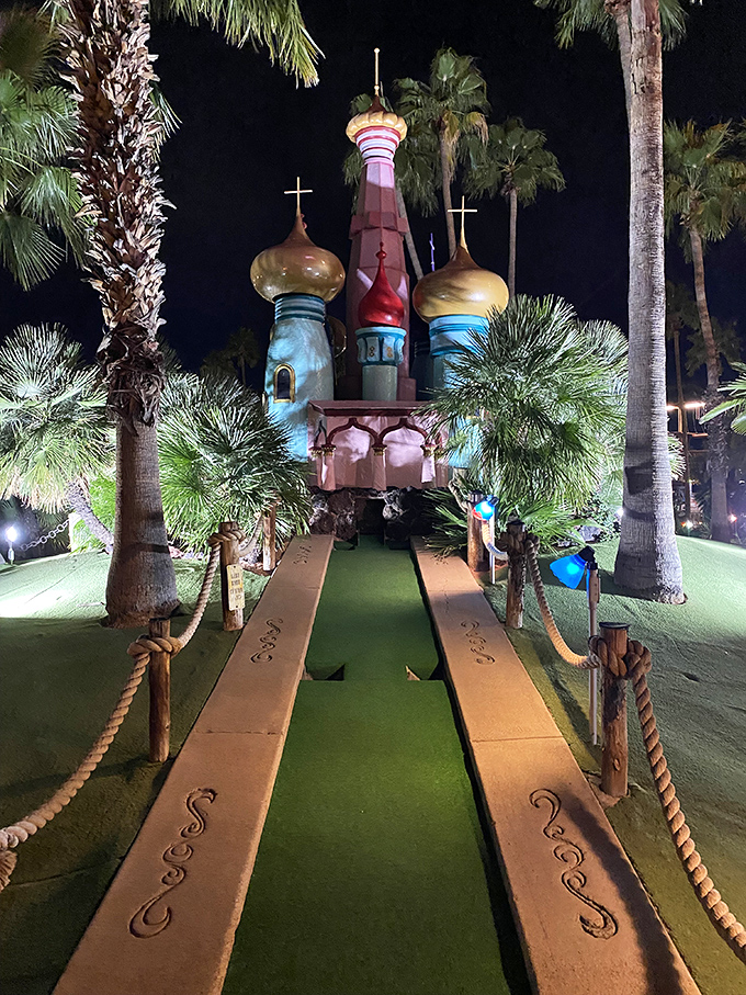 Castles N' Coasters: Where medieval meets modern fun. Knights, castles, and roller coasters &ndash; oh my! Time travel was never this entertaining.