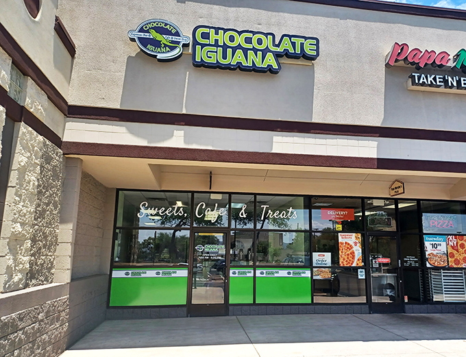 Who knew reptiles could be so delicious? This quirky cocoa haven proves that everything's better when it's chocolate-covered.