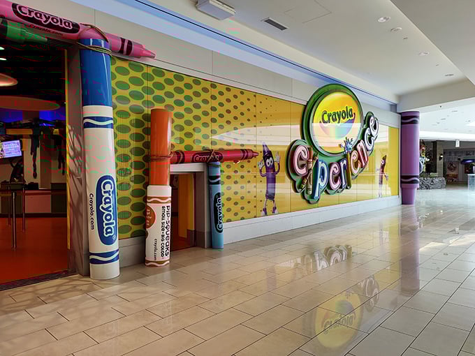 Welcome to Crayola's Candyland! Where every color of the rainbow comes to play, and imaginations run wild.