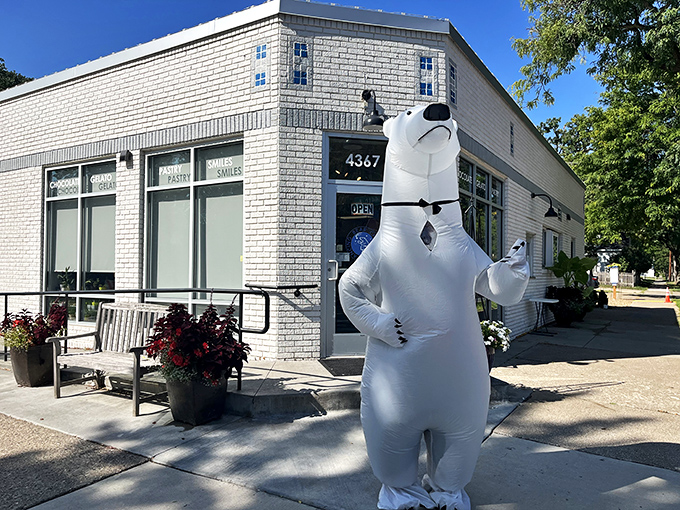 Dancing Bear Chocolate: Where whimsy takes center stage! This inflatable greeter promises a shop full of grizzly good treats.