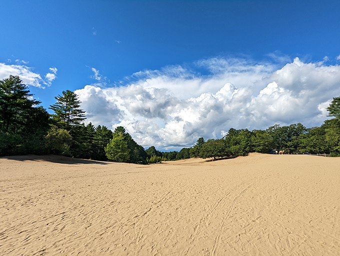Welcome to the Desert of Maine: Where pine trees meet sand dunes. Mother Nature's idea of a practical joke?