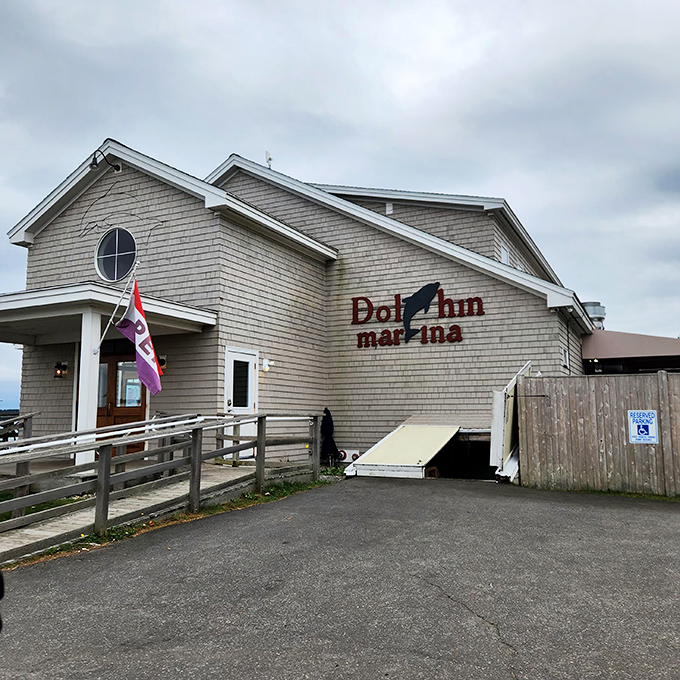 Dolphin Marina: Where "going overboard" means ordering seconds of their legendary fish chowder.