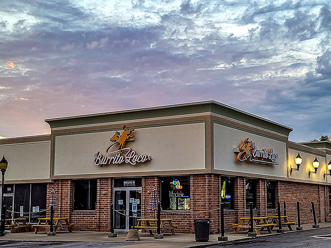 El Burrito Loco: Where burritos go to live out their wildest dreams. That logo? It's your spirit animal on a south-of-the-border adventure.