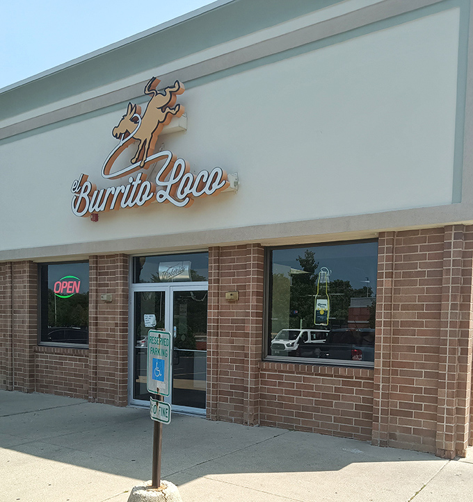 El Burrito Loco: Where 'go big or go home' isn't just a saying, it's a way of life! These burritos are the Godzillas of the food world.