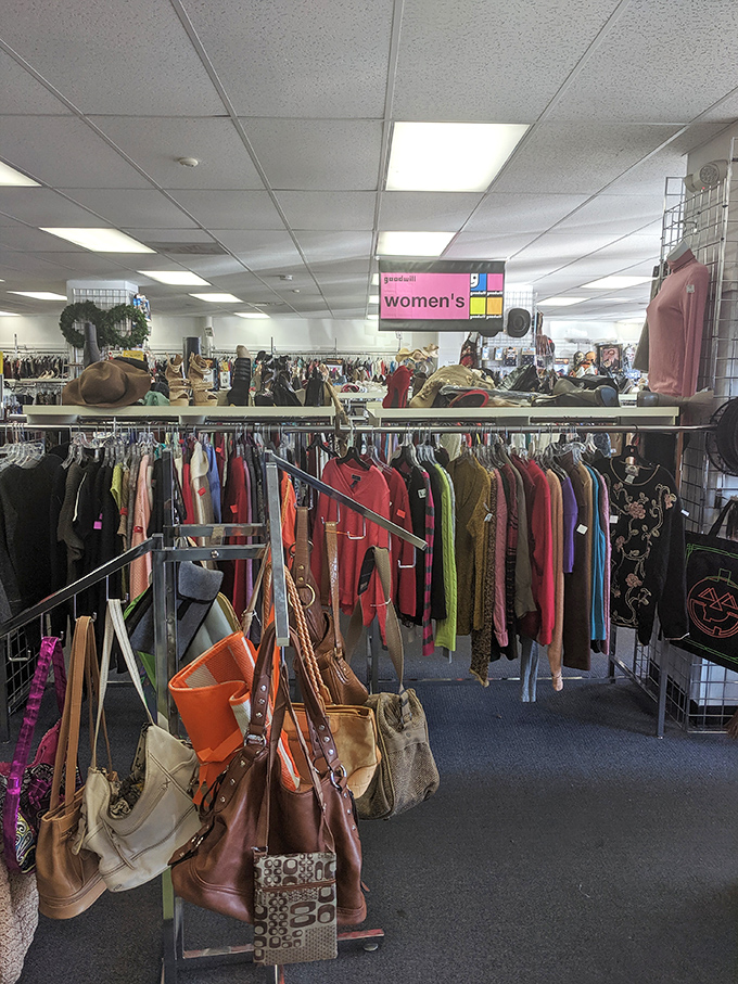 Goodwill hunting in Baltimore: Where every purchase is a good deed, and every find is a potential conversation starter.