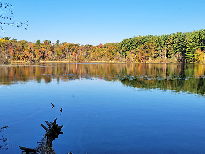 Hartman Creek: Crystal-clear waters that'll make you double-check if you're actually floating or just really good at treading air.