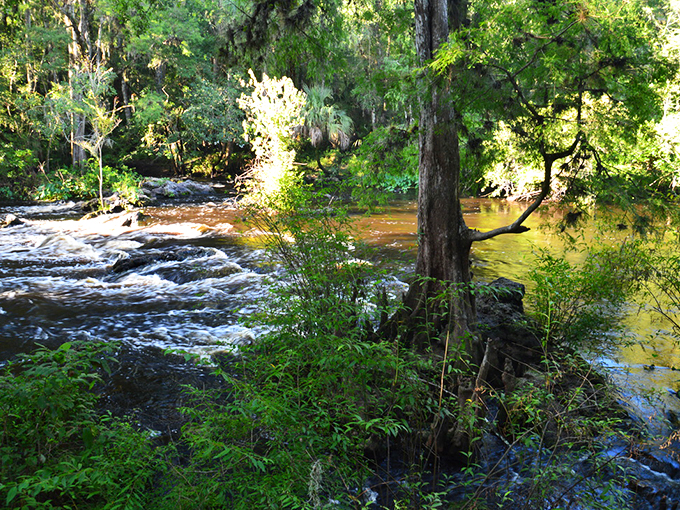 Who says Florida's flat? These rapids are like nature's roller coaster &ndash; thrilling, splashy, and guaranteed to make you forget about those theme park lines.