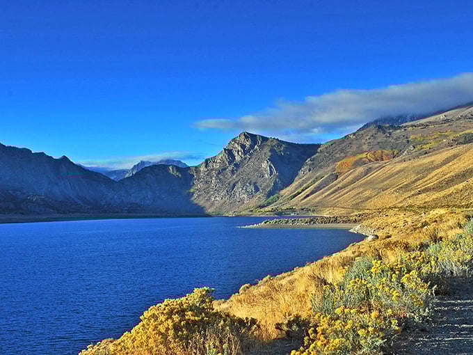 June Lake: The Sierra's hidden gem. So clear, you can practically read the fish's expressions!