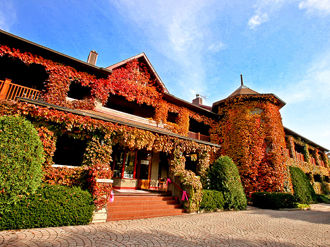 Lynfred Winery: Part medieval castle, part cozy B&B, all wine wonderland. You half expect to see Rapunzel letting down her hair... probably to snag another bottle from the cellar.