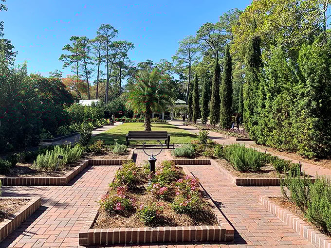 Nature's own amphitheater, where the plants put on a daily show. Standing ovation not required, but highly encouraged.