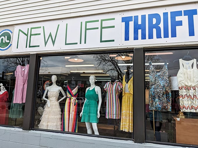 From vintage vogue to modern chic, this colorful display is a feast for the eyes and a treat for the wallet.