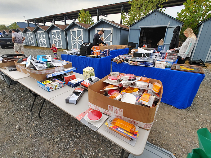 Pulaski Flea Market: Where blue tarps become magic carpets, whisking you away to lands of unexpected finds.