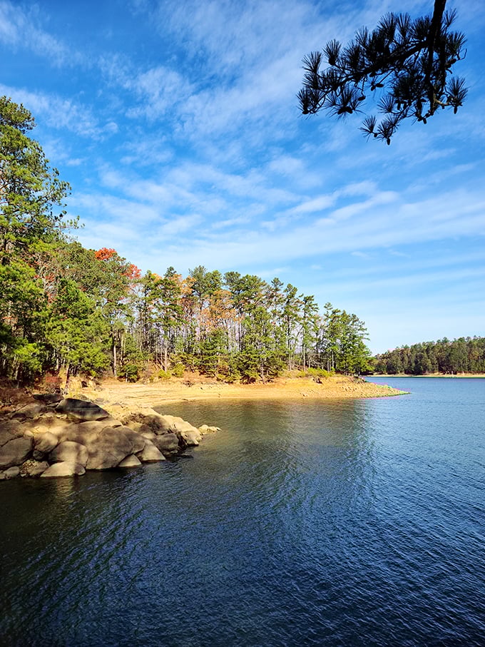 Red Top Mountain's beach: Where you can work on your tan and your hiking legs in one go. It's like a two-for-one deal, but with more scenic views.