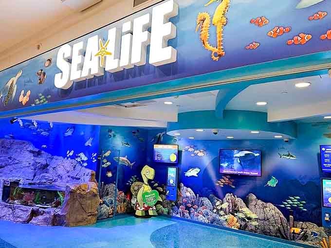 Dive into an underwater wonderland at Sea Life Minnesota. It's like Finding Nemo came to life, minus the traumatic clownfish separation anxiety.