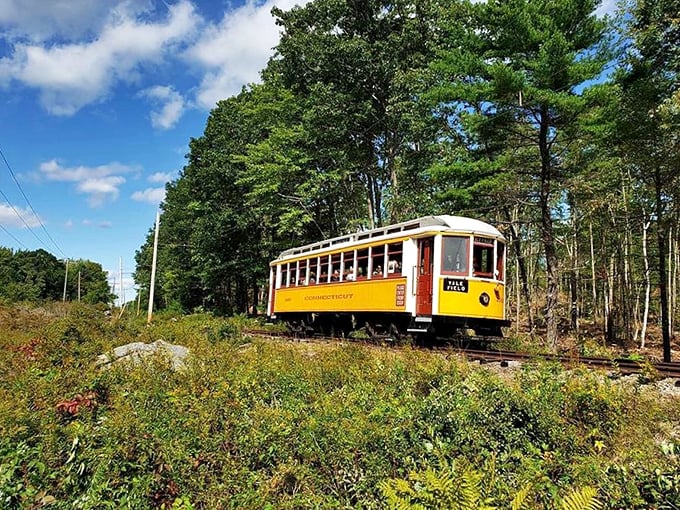 Hop aboard for a trip down memory lane. These vintage trolleys are ready to roll!