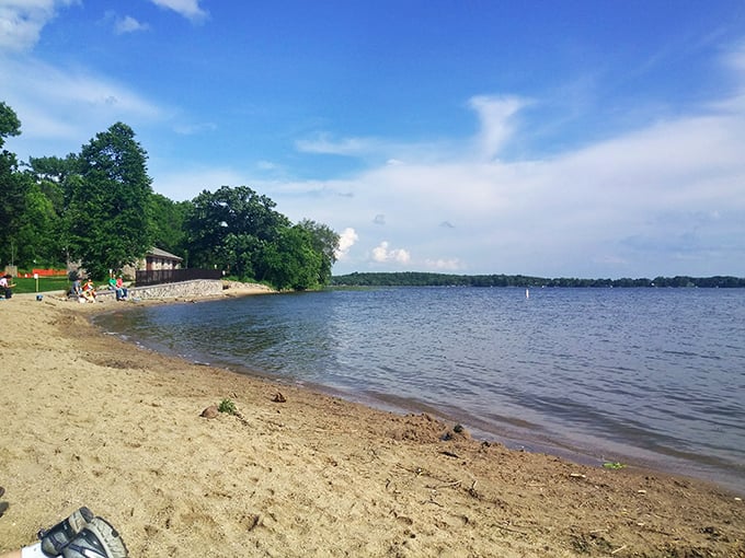 Sibley's serene shores: Where squirrels aren't interested in your 401(k), but might critique your sandcastle-building skills.