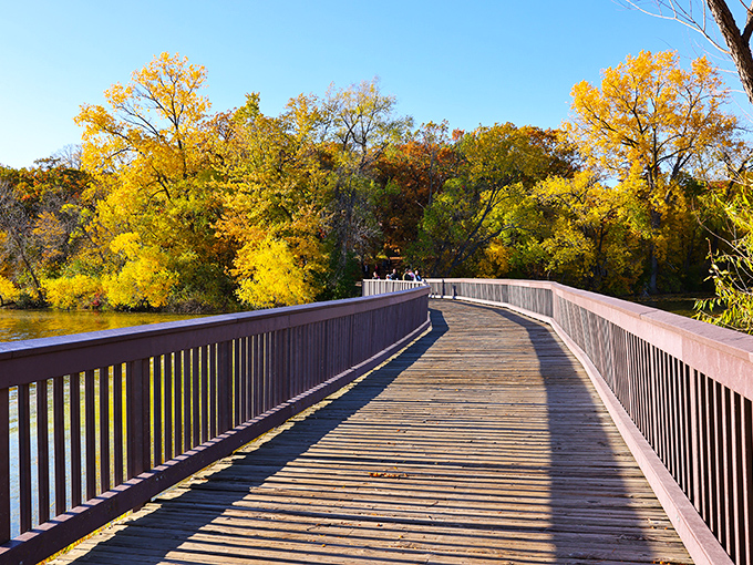 Art meets nature in a dance of creativity. Silverwood Park's sculptures are like a game of "I Spy" for grown-ups.