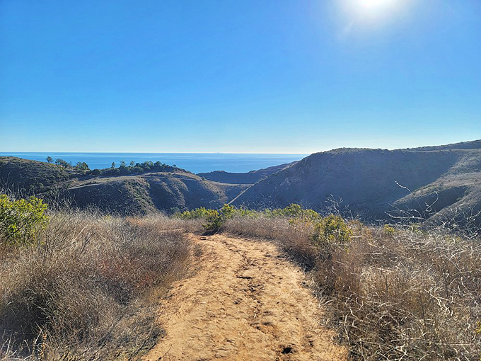 Solstice Canyon: Hollywood's backyard wilderness. More star quality than a red carpet, minus the uncomfortable shoes.